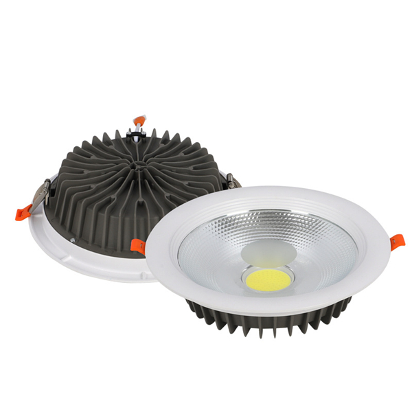 6 inch 24W Mars LED Downlight